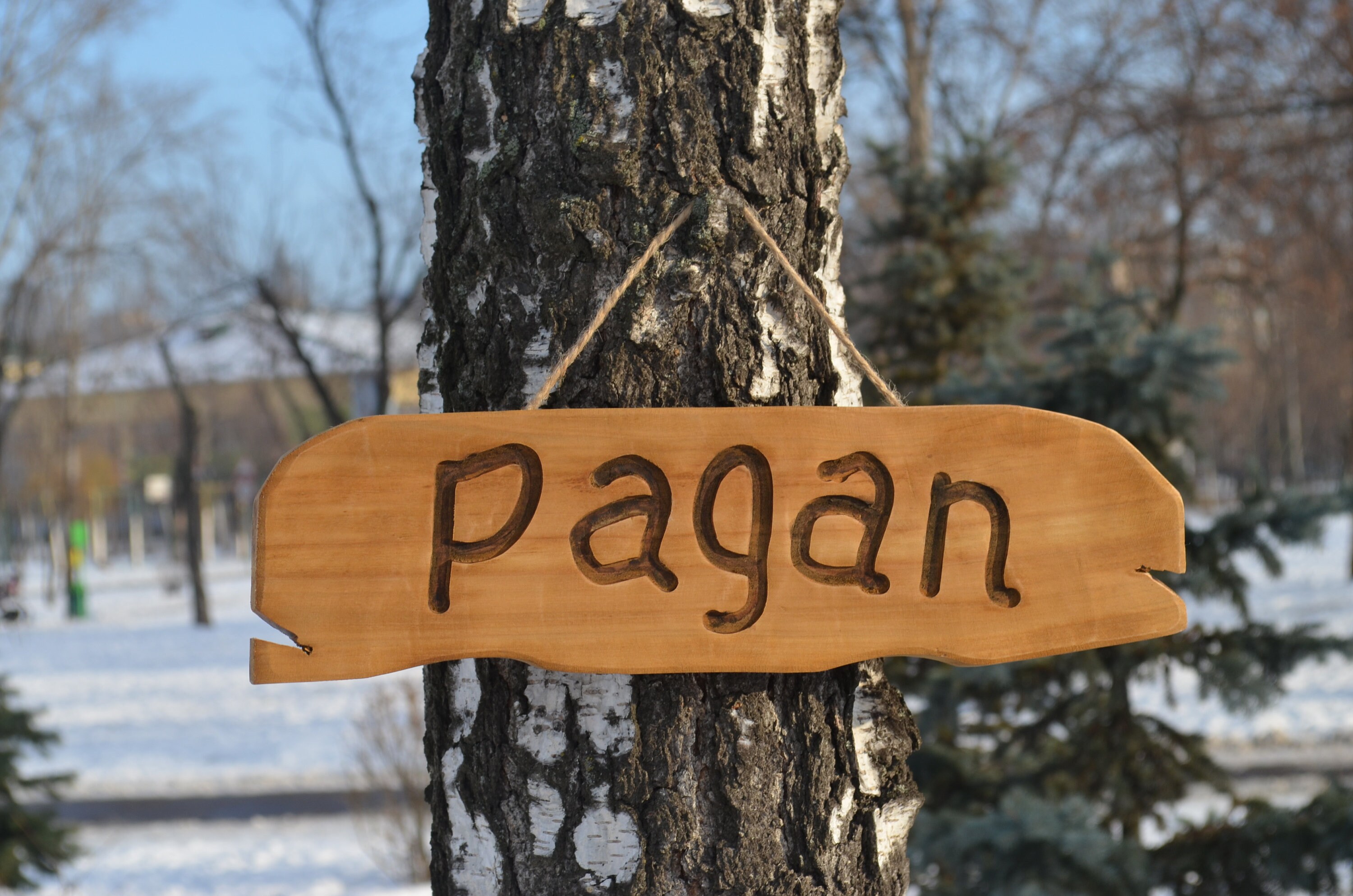Wooden Sign Pagan Pagan Symbol Sign Witch's Wiccan - Etsy