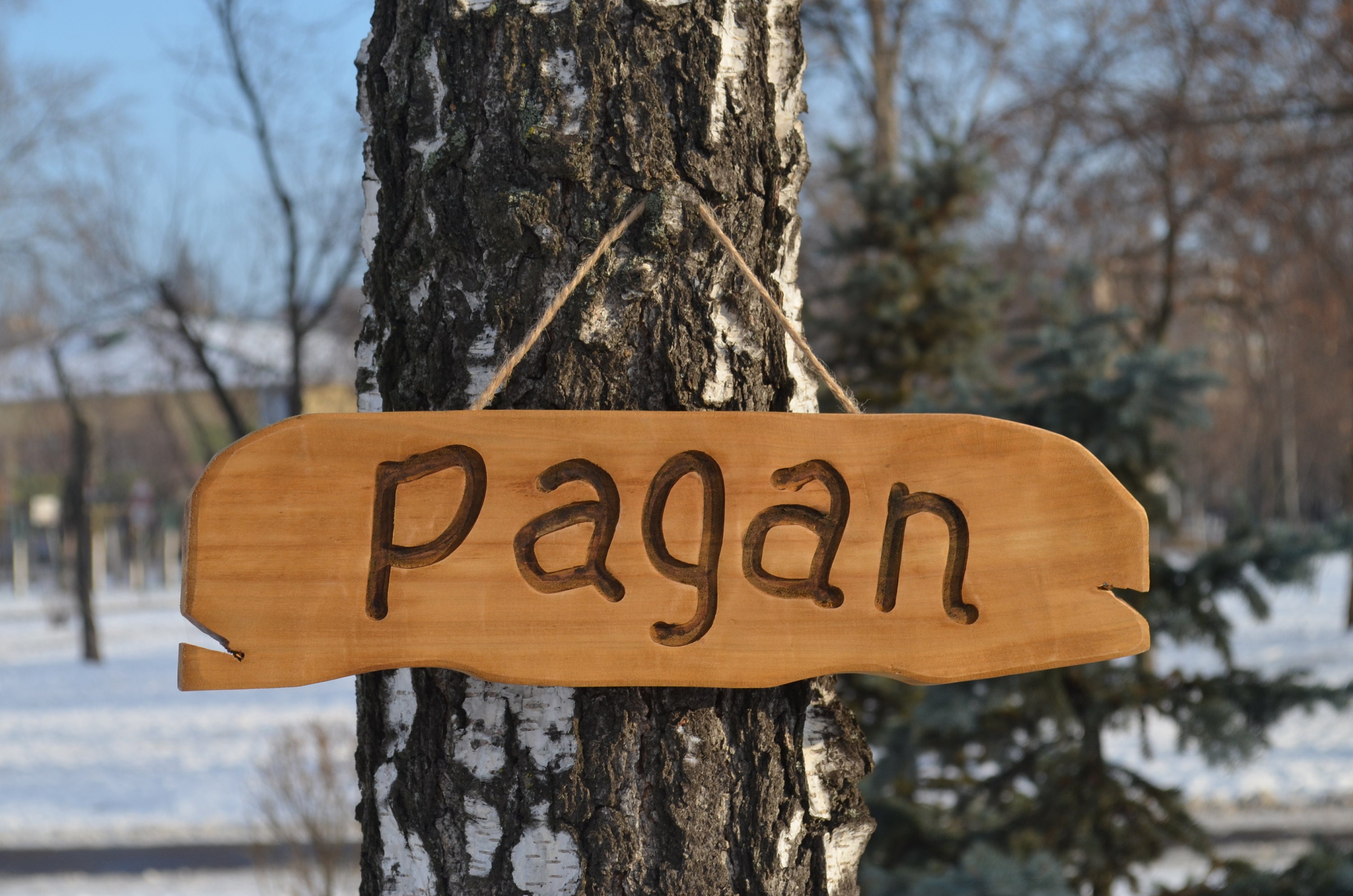 Wooden Sign Pagan Pagan Symbol Sign Witch's Wiccan - Etsy