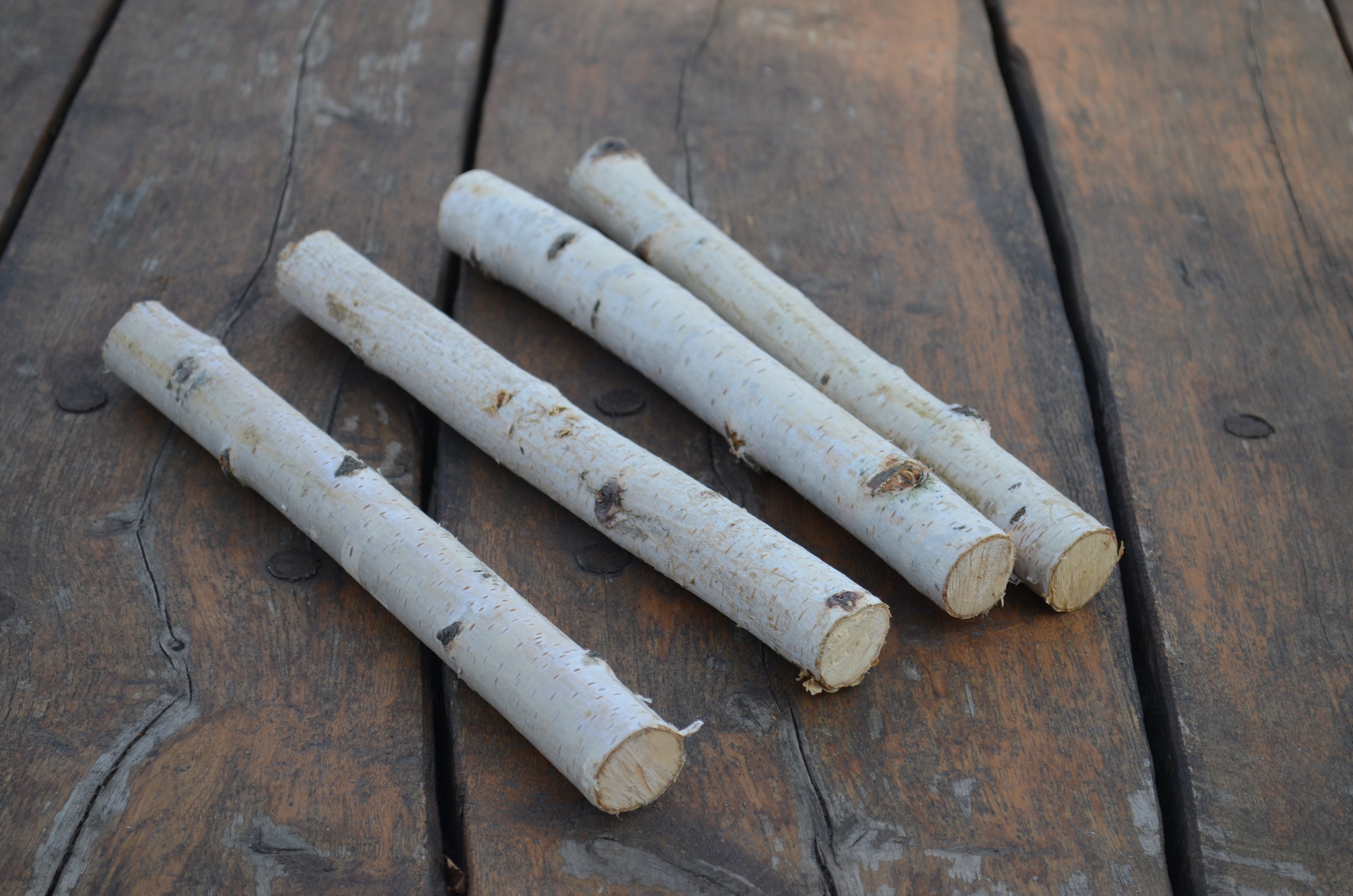 Birch Bundle Logs of 4 White Birch Logs Rustic Craft Supply | Etsy Canada