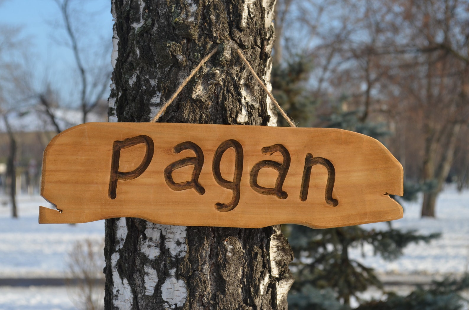 Wooden Sign Pagan Pagan Symbol Sign Witch's Wiccan - Etsy