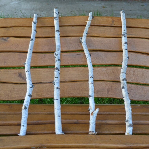 Long Birch Twigs - Etsy