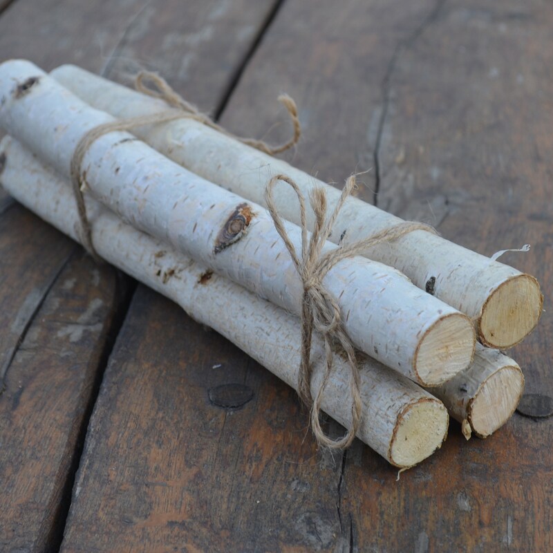 White Birch Logs - Etsy