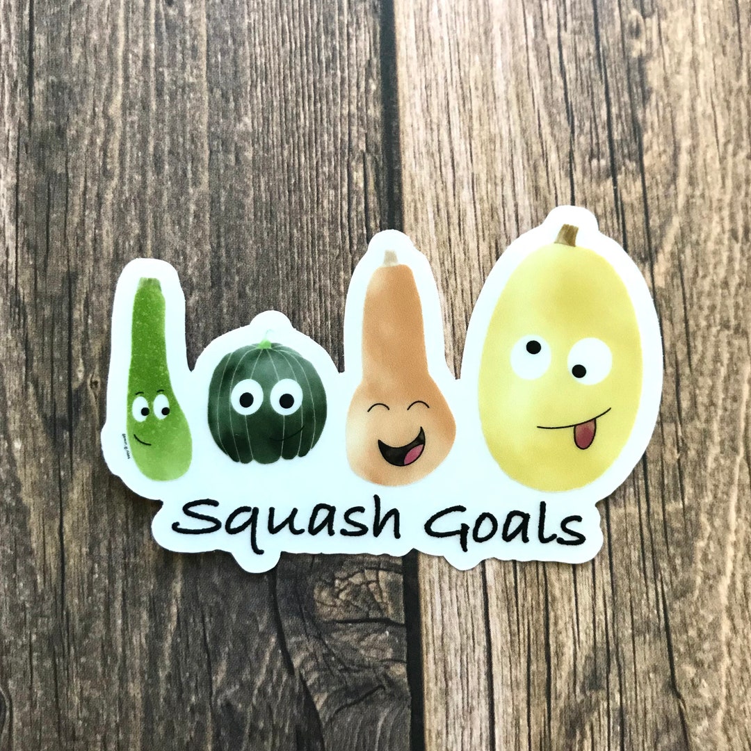Squash Goals Clear Vinyl Sticker - Etsy