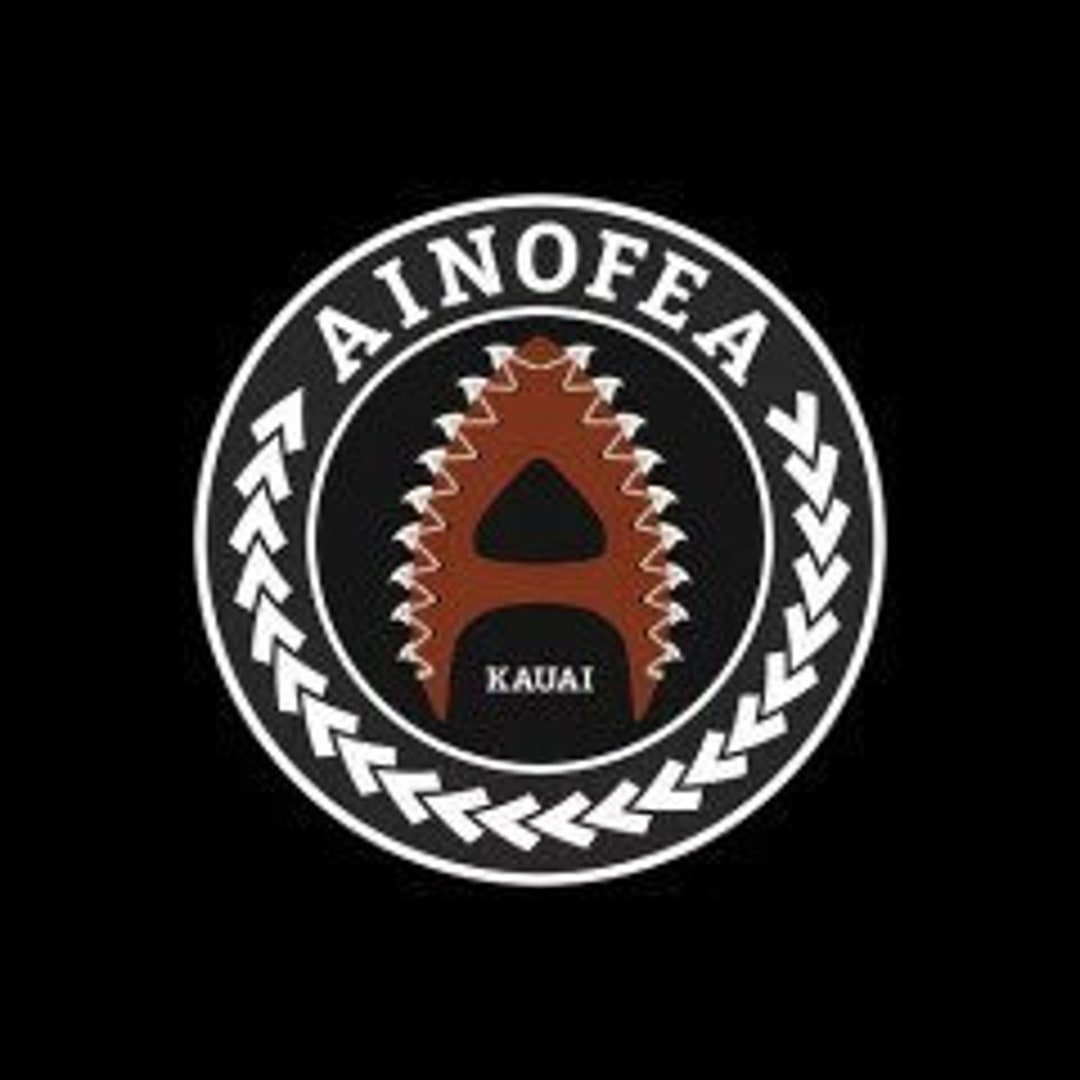 Ainofea Logo T Shirt - Etsy