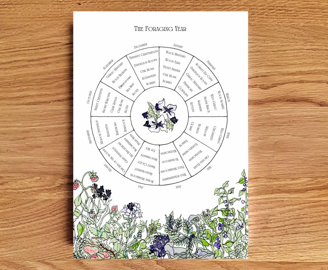 Foraging Wheel of the Year A4 Printable Digital Download Hand ...