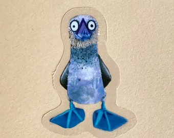 Blue Footed Booby Sticker | Etsy