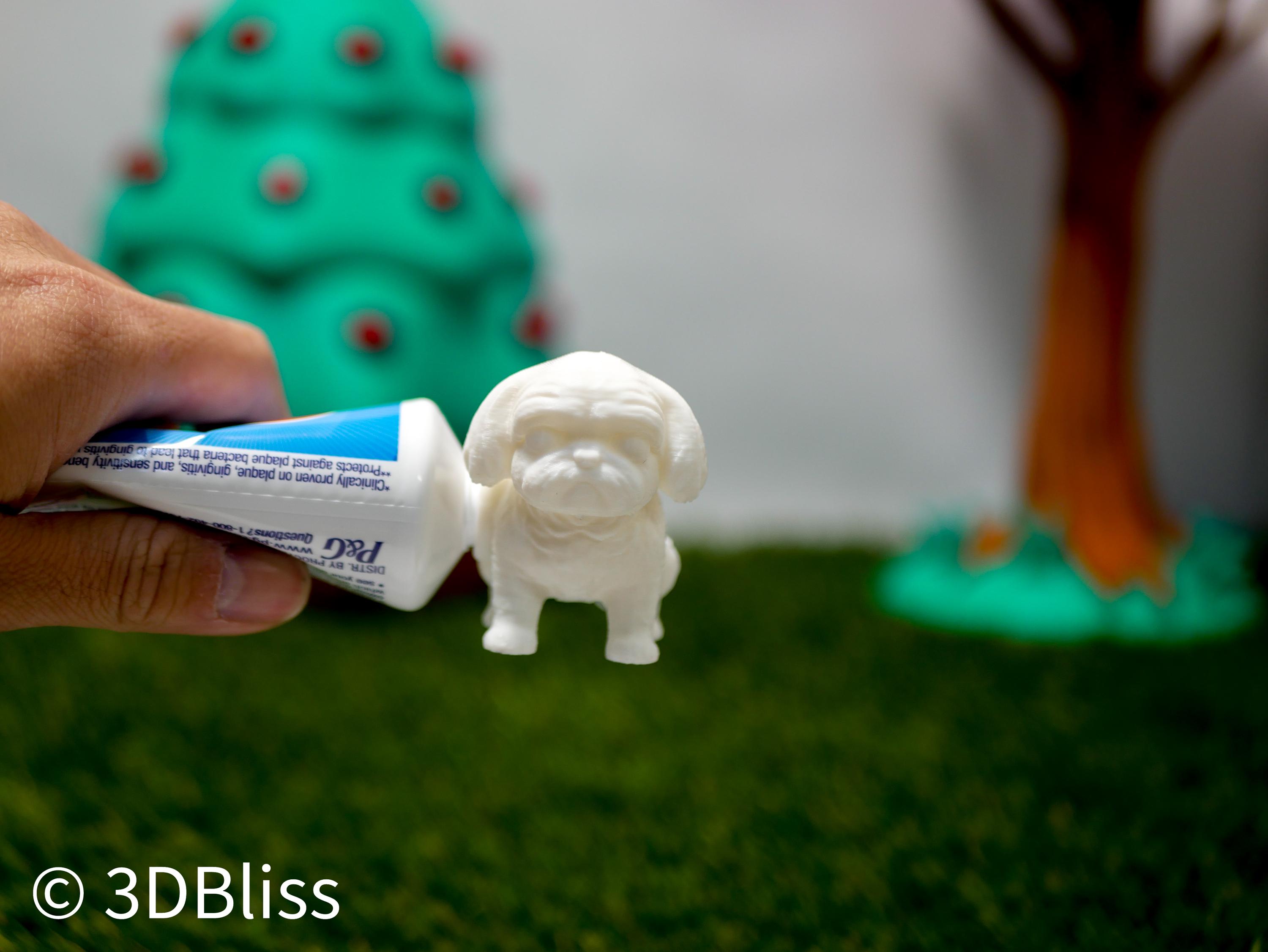Shih Tzu Puppy Poop Toothpaste Topper – Gag Gift for Dog Lovers - Etsy