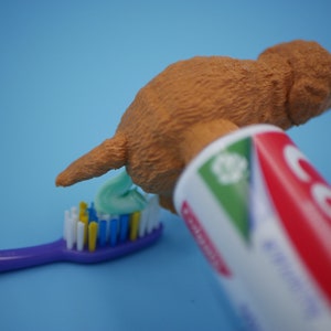 Golden Retriever Puppy Poop Toothpaste Topper – Gag Gift for Dog Lovers ...