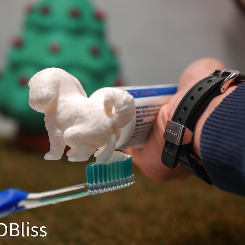 Dog Toothpaste - Etsy