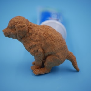 Golden Retriever Puppy Poop Toothpaste Topper – Gag Gift for Dog Lovers ...