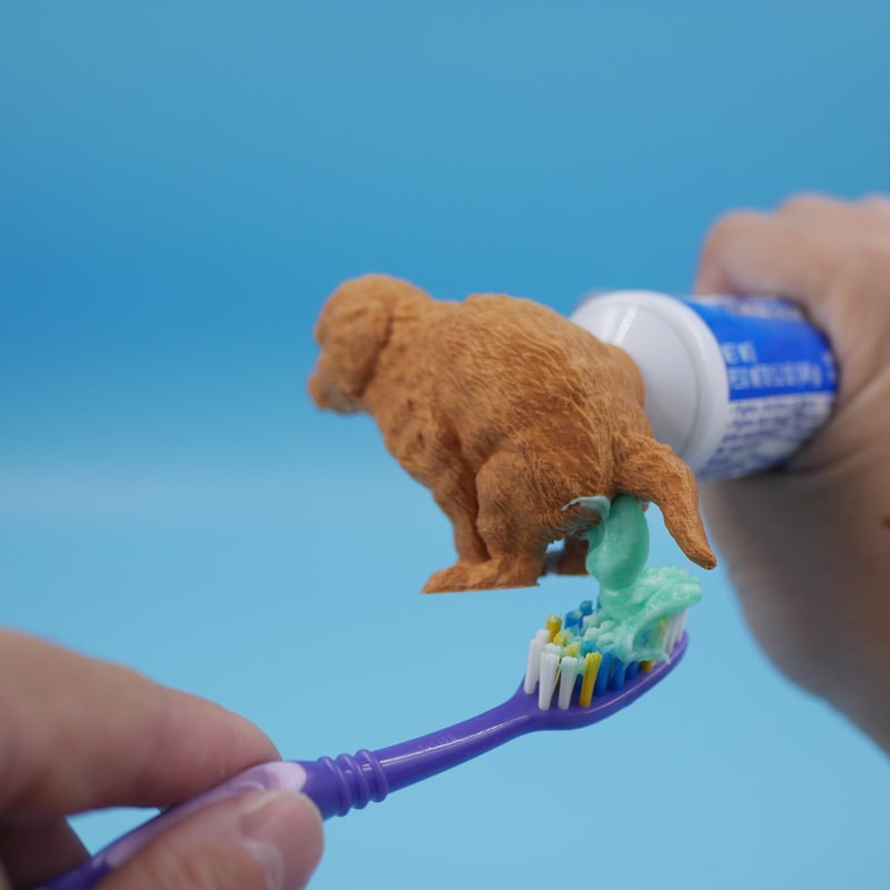 Pooping Toothpaste - Etsy