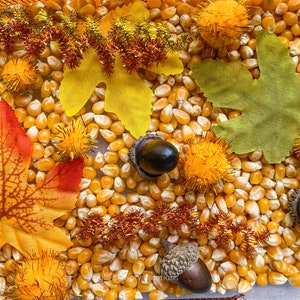 Fall Sensory Kit - Autumn Sensory Bin - Fine Motor Play Kit - Fall ...