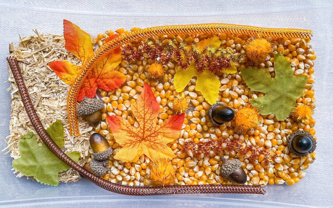 Fall Sensory Kit - Autumn Sensory Bin - Fine Motor Play Kit - Fall ...