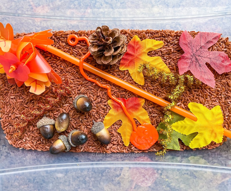 Autumn Sensory Kit - Fall Sensory Bin - Fall Sensory Play - Fall Busy ...