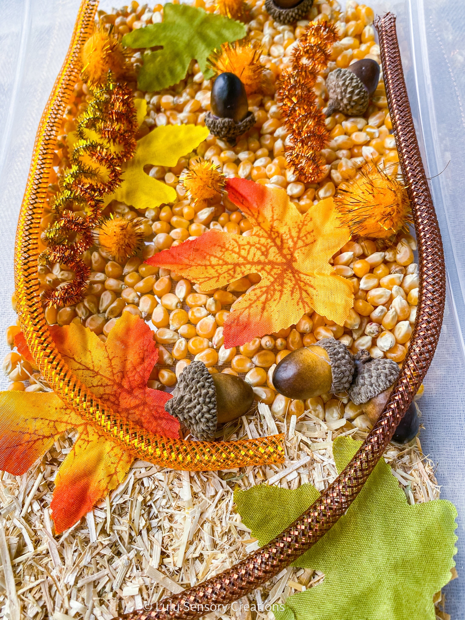Fall Sensory Kit Autumn Sensory Bin Fine Motor Play Kit Fall Activity ...