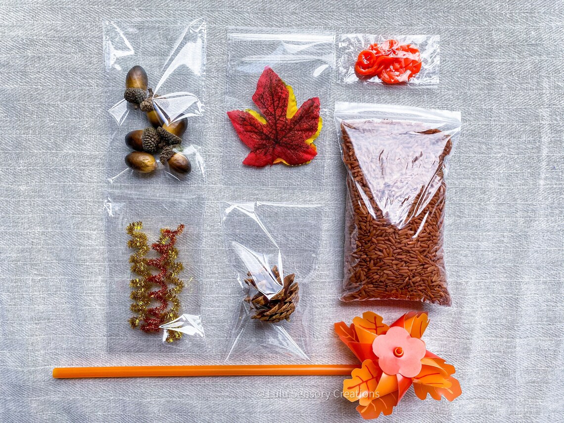 Autumn Sensory Kit - Fall Sensory Bin - Fall Sensory Play - Fall Busy ...