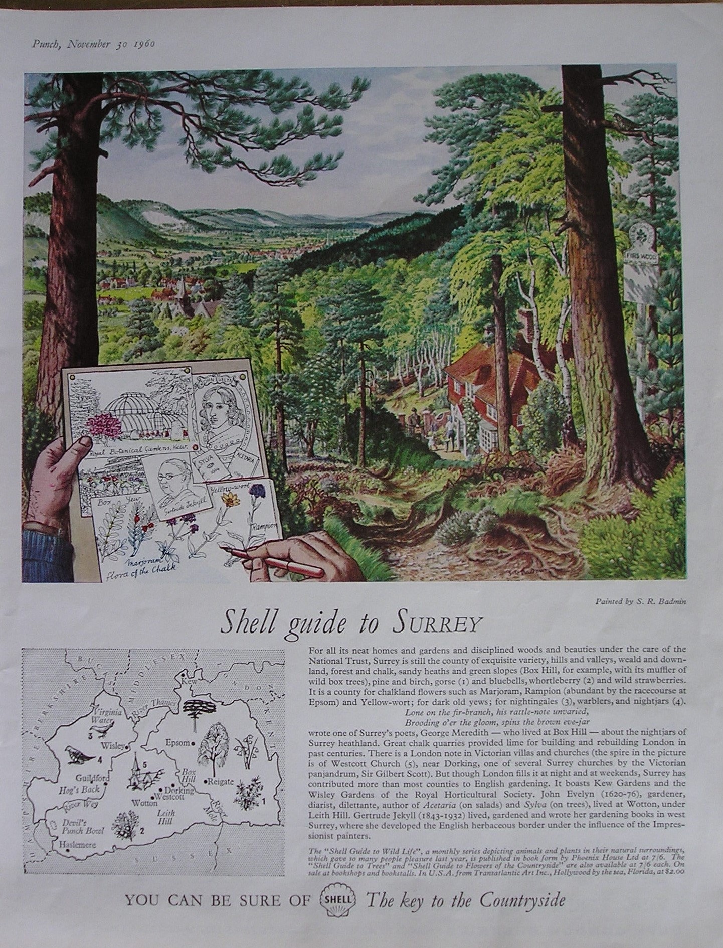 1960 SHELL GUIDE to SURREY magazine advert Collectibles Advertisements ...
