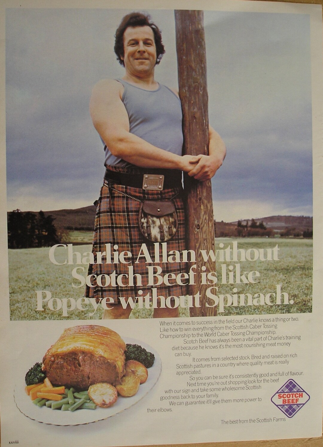 1980 SCOTCH BEEF Magazine Advert - Etsy