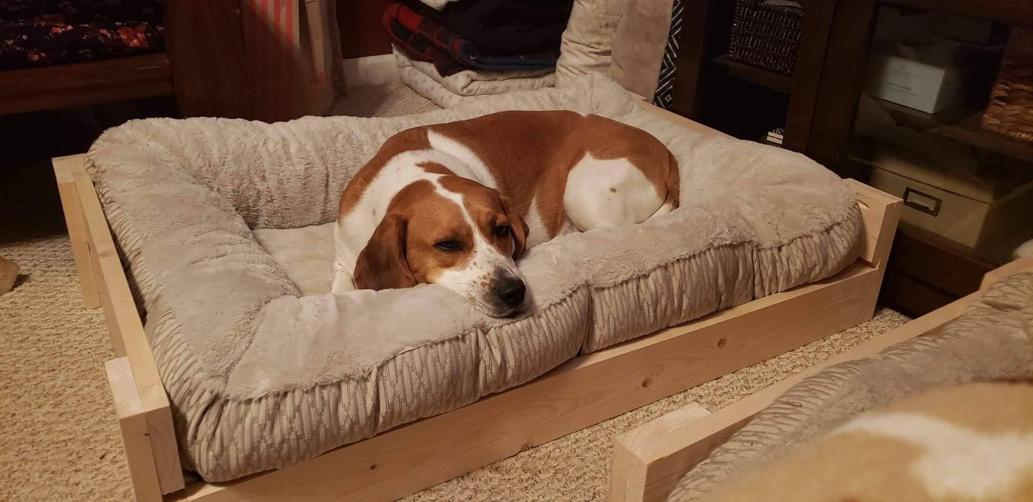 Handmade custom rustic wooden crate vintage style dog bed pet | Etsy