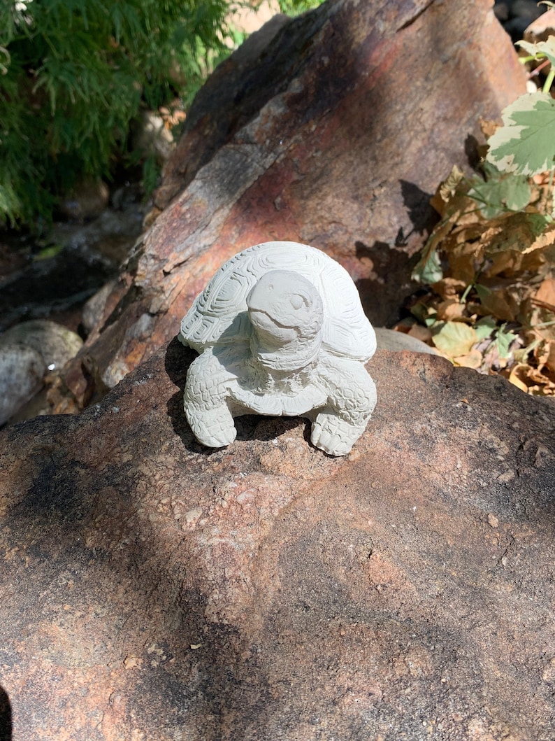 Handmade Turtle Cement Statue - Etsy