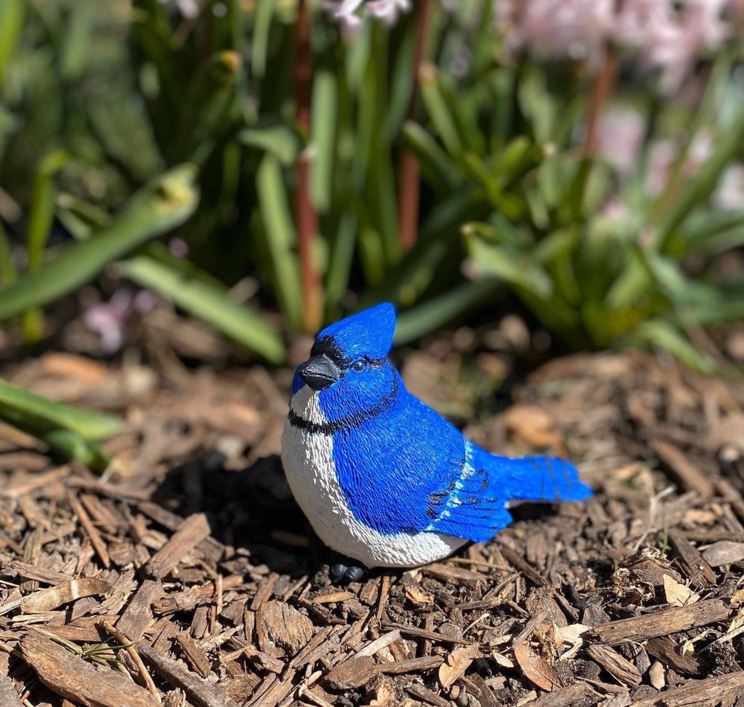 Handcrafted Blue Jay Cement Figurine - Etsy