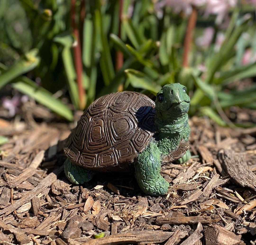 Handmade Turtle Cement Statue - Etsy