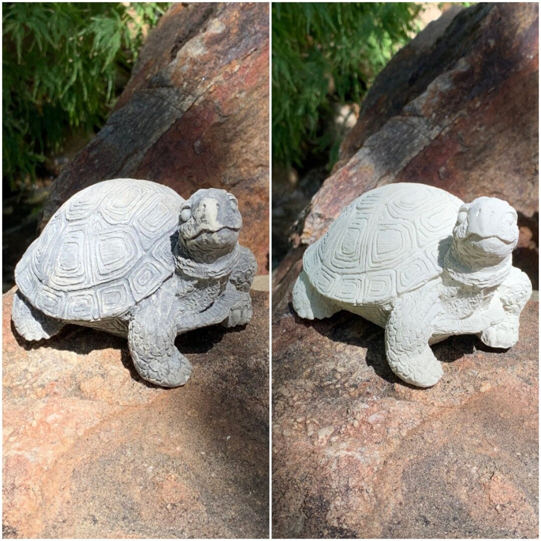 Handmade Turtle Cement Statue - Etsy