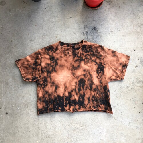 Alligator American Gator Bog Crocodile Reptile Swamp Dinosaur | Etsy