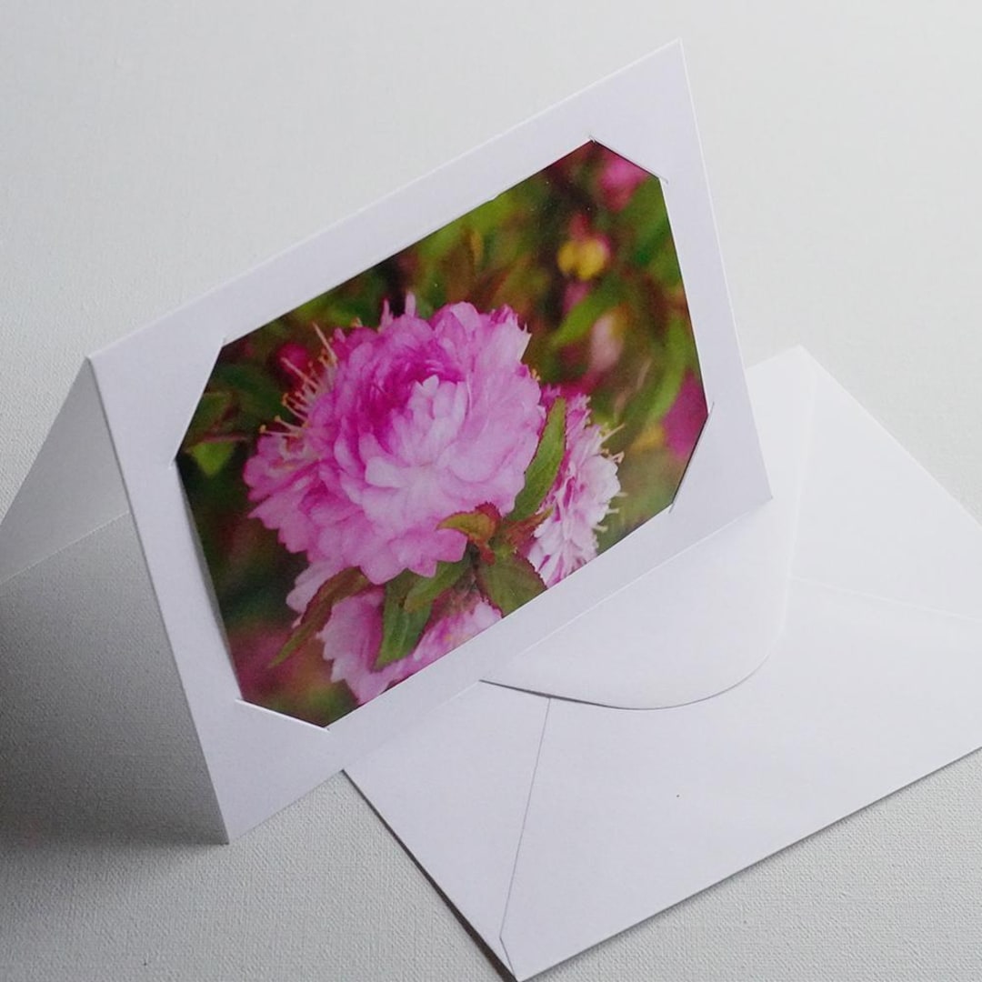 Blank Photo Frame Cards & Envelopes, 5'' X 7'' Premium Paper Cards for ...