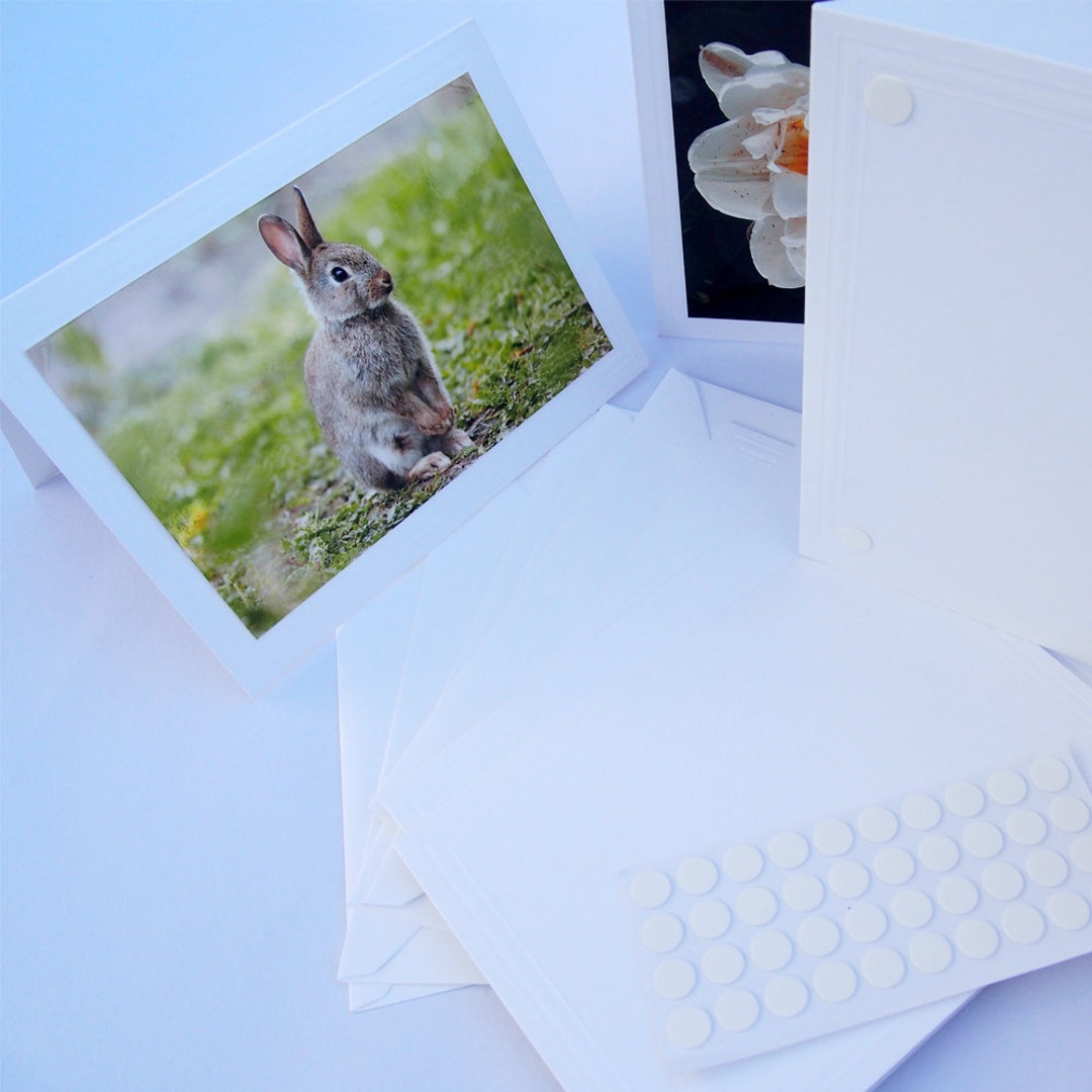 Blank Photo Mount Cards, Picture Frame Greeting Cards, White With ...