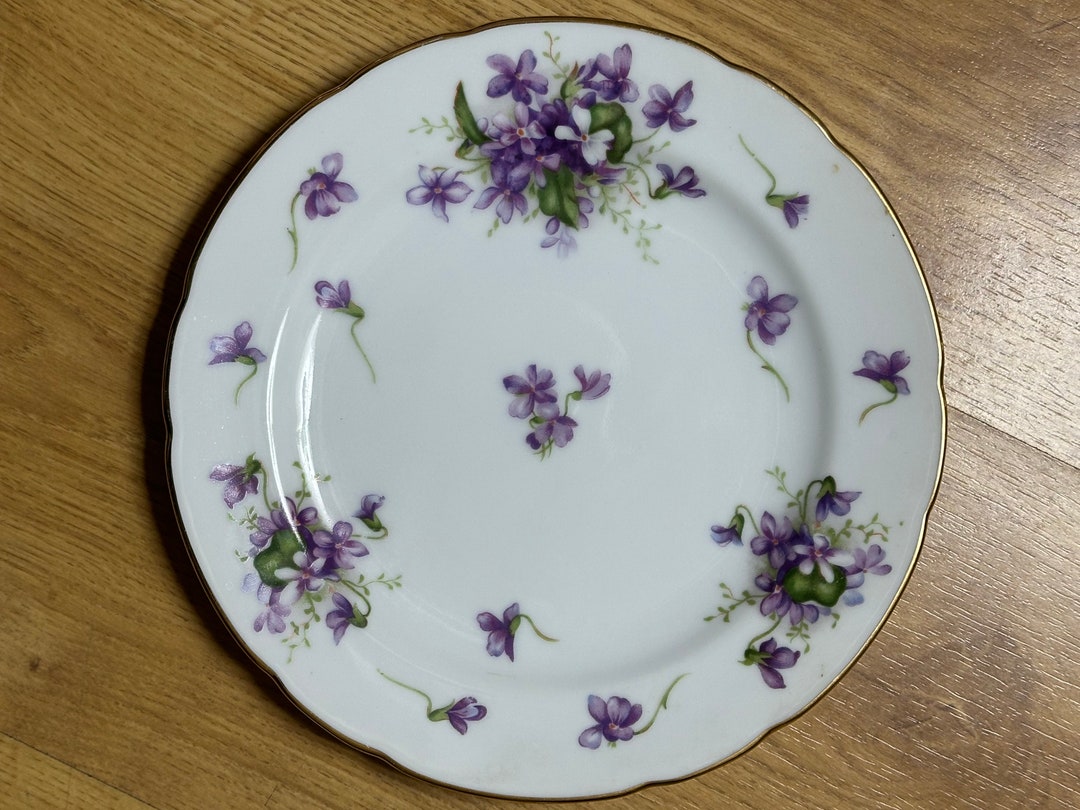 Salad Plate, Spring Violets by Rossetti - Etsy