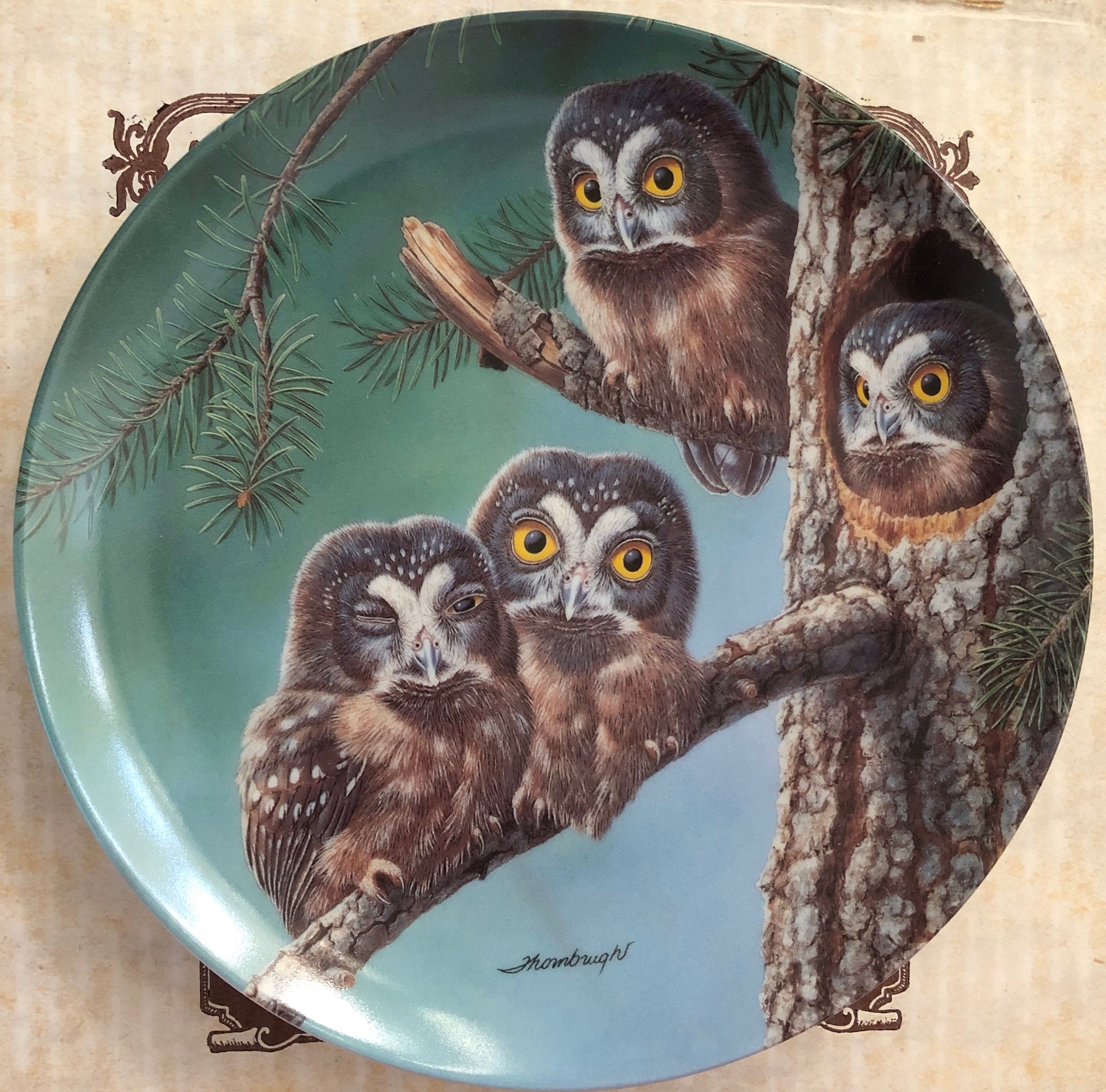 Beginning to Explore: Boreal Owls Plate No Six in Baby Owls - Etsy