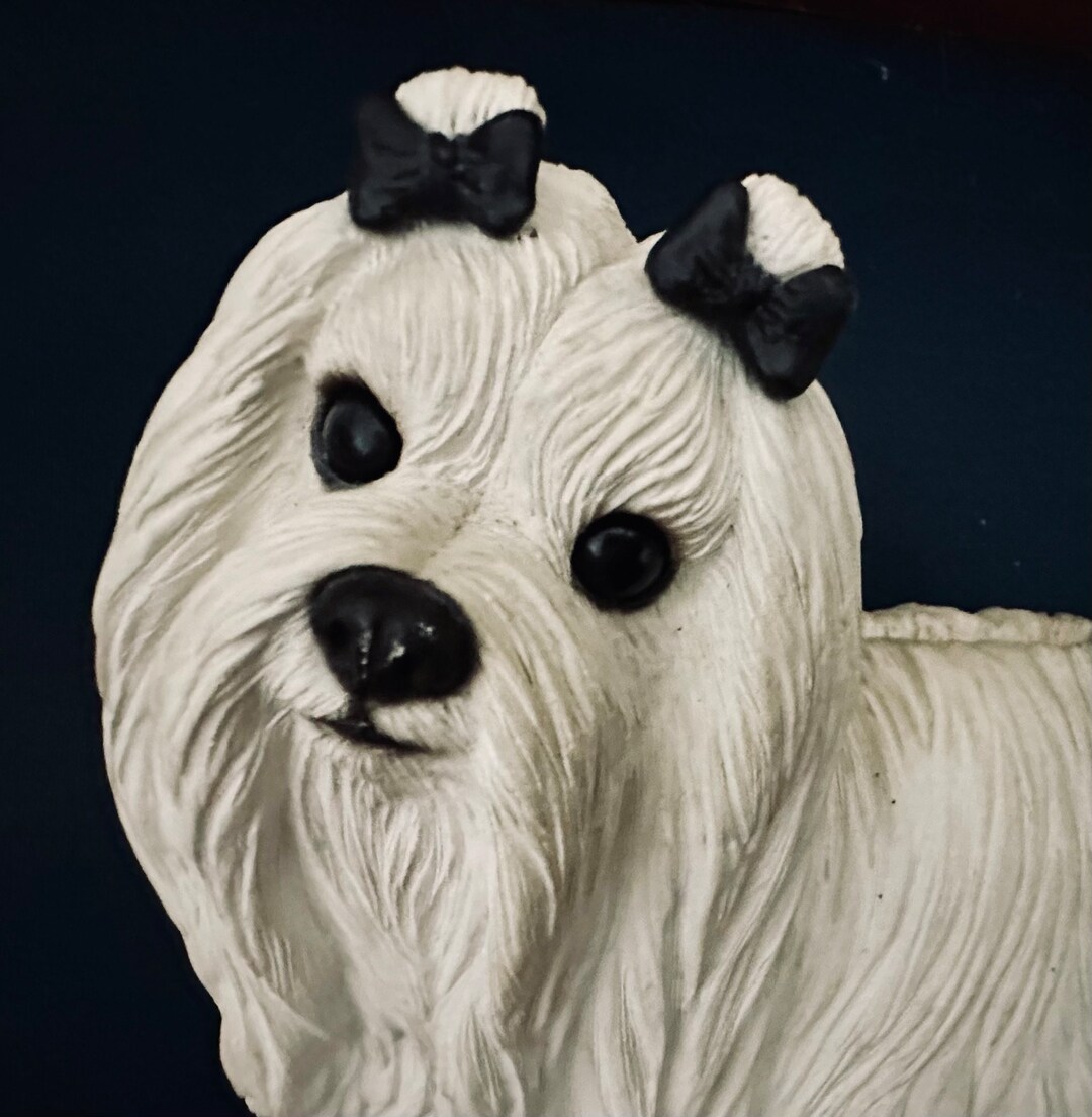 Maltese From Sandicast, Artist Signed, 6.5”H - Etsy