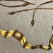 Vintage Native American Concha Leather Tie Belt With Bone Hair-pipe - Etsy