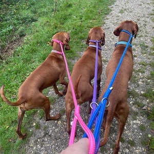 Figure of Eight / Slip Lead (2 in 1) Leash / Head Collar - Etsy UK
