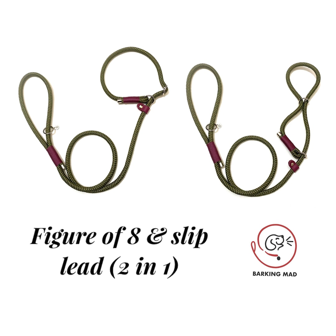 Figure of Eight / Slip Lead 2 in 1 Leash / Head Collar - Etsy