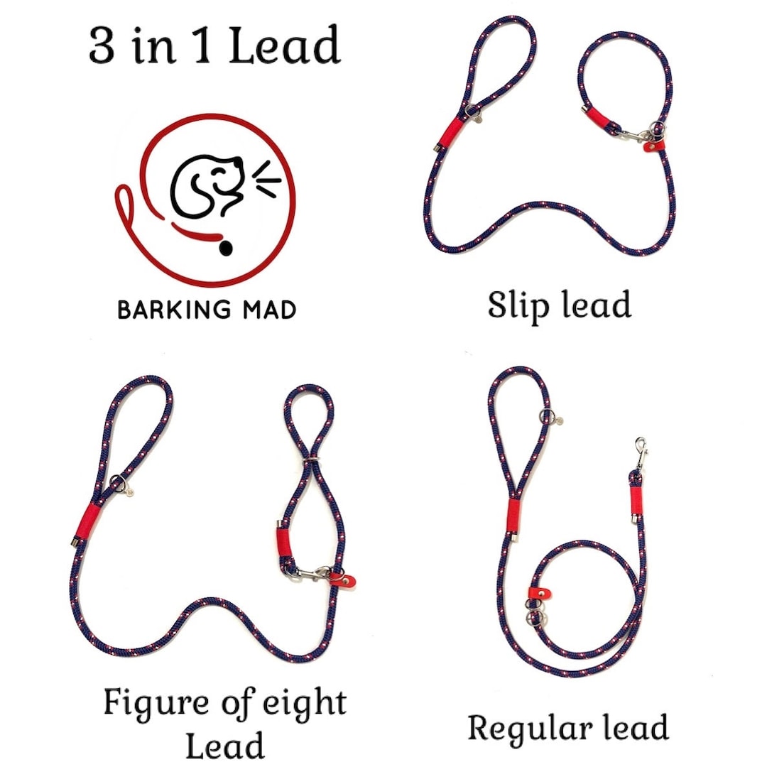 3 in 1 Lead/leash. Slip Regular and Figure of Eight. - Etsy UK