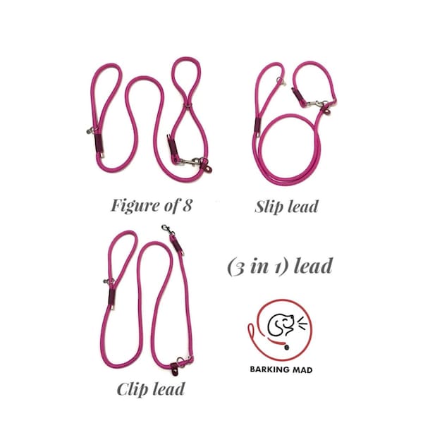 Figure Eight Dog - Etsy