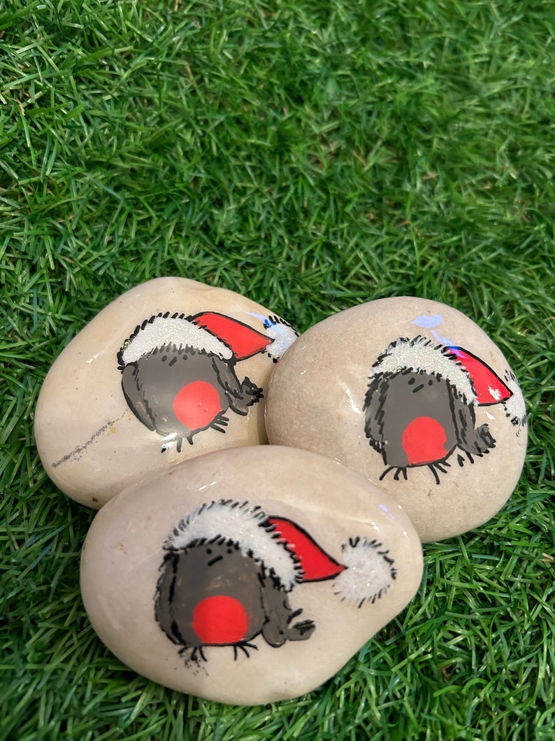Personalized Robin Christmas Pebble: Hand-painted Keepsake Gift - Etsy