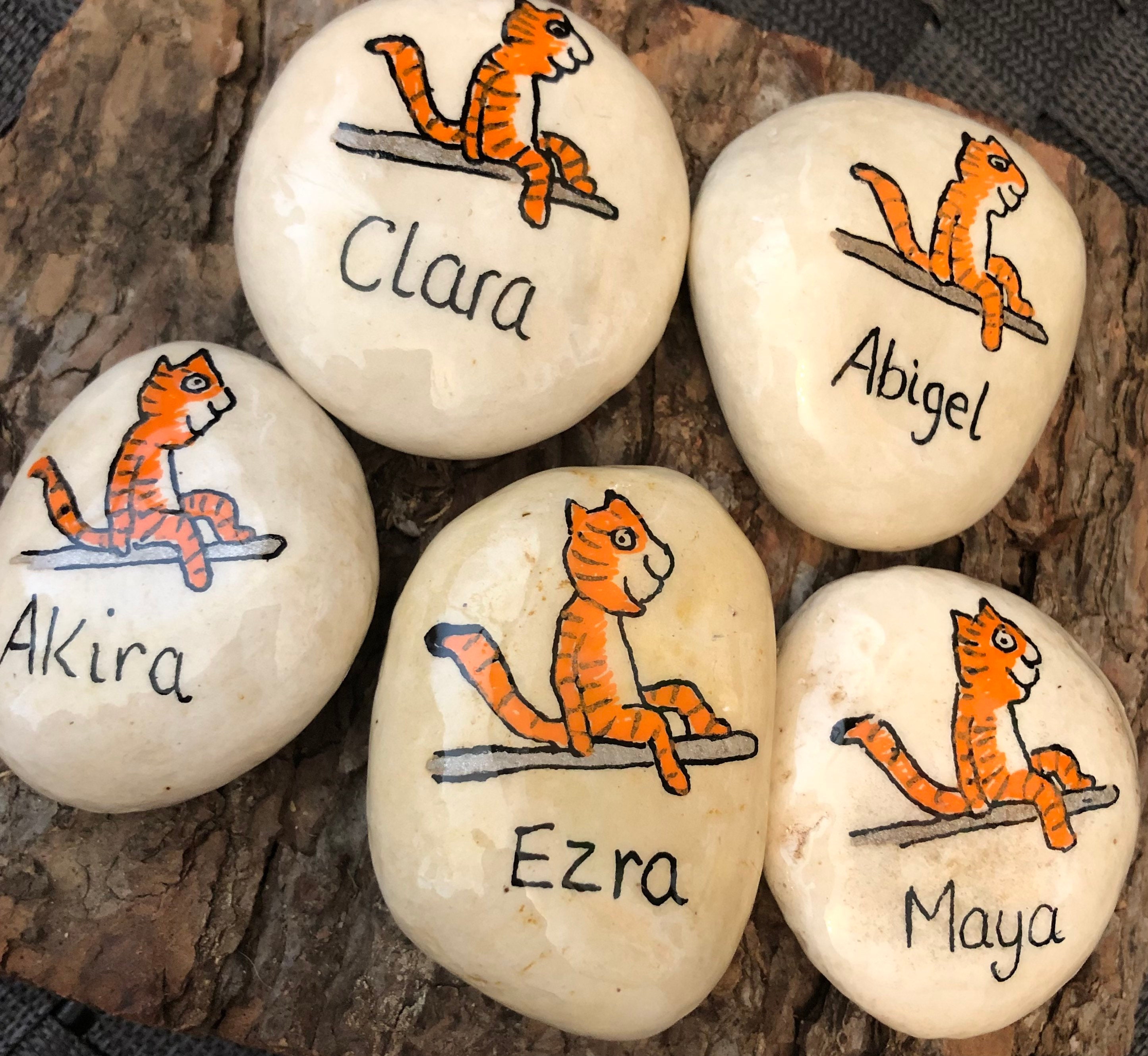 Room on the Broom Inspired Story Stones Full Set Montessori - Etsy