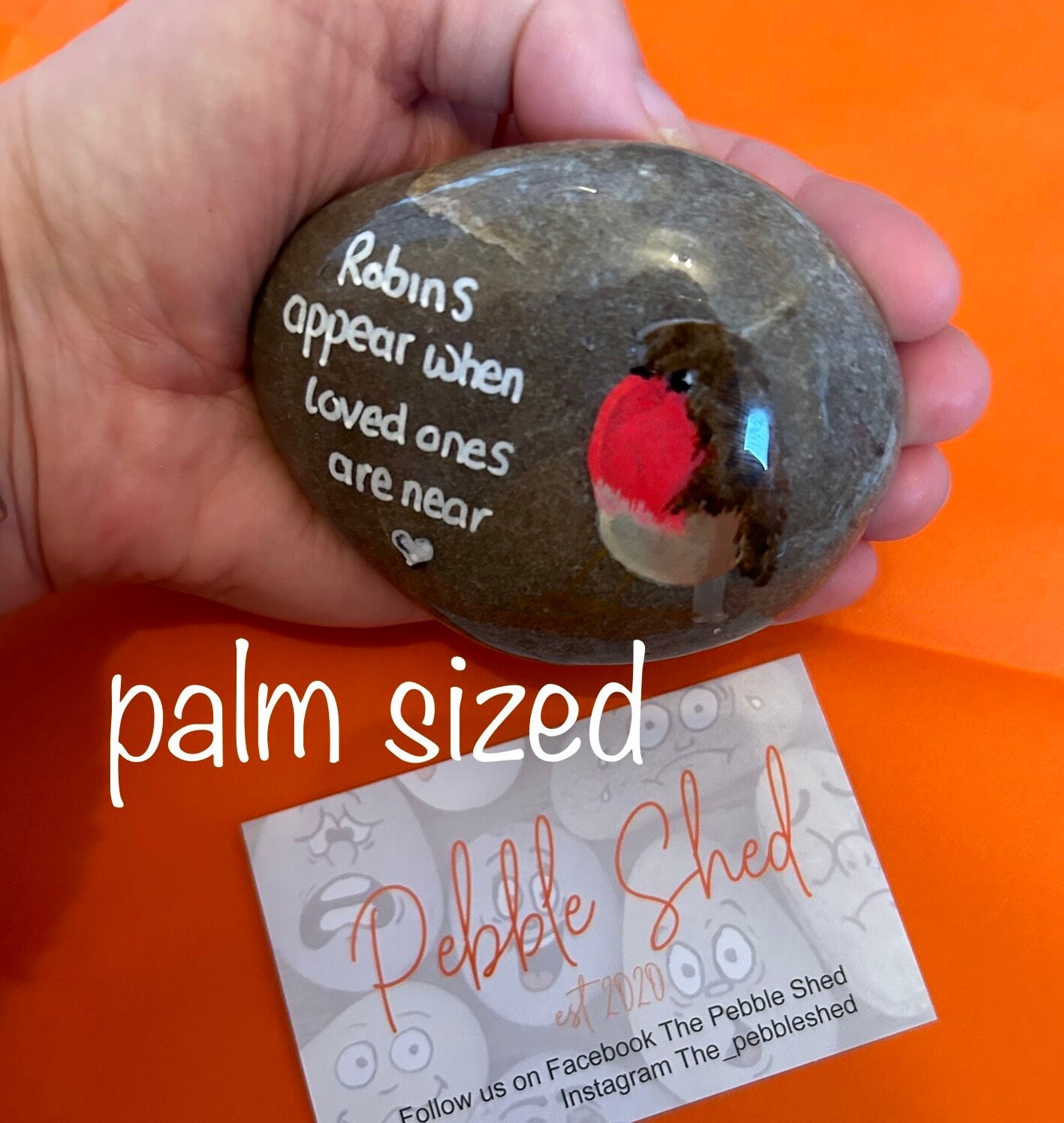 Hand-painted Robin Memorial Pebble: Cemetery Grave Decoration - Etsy