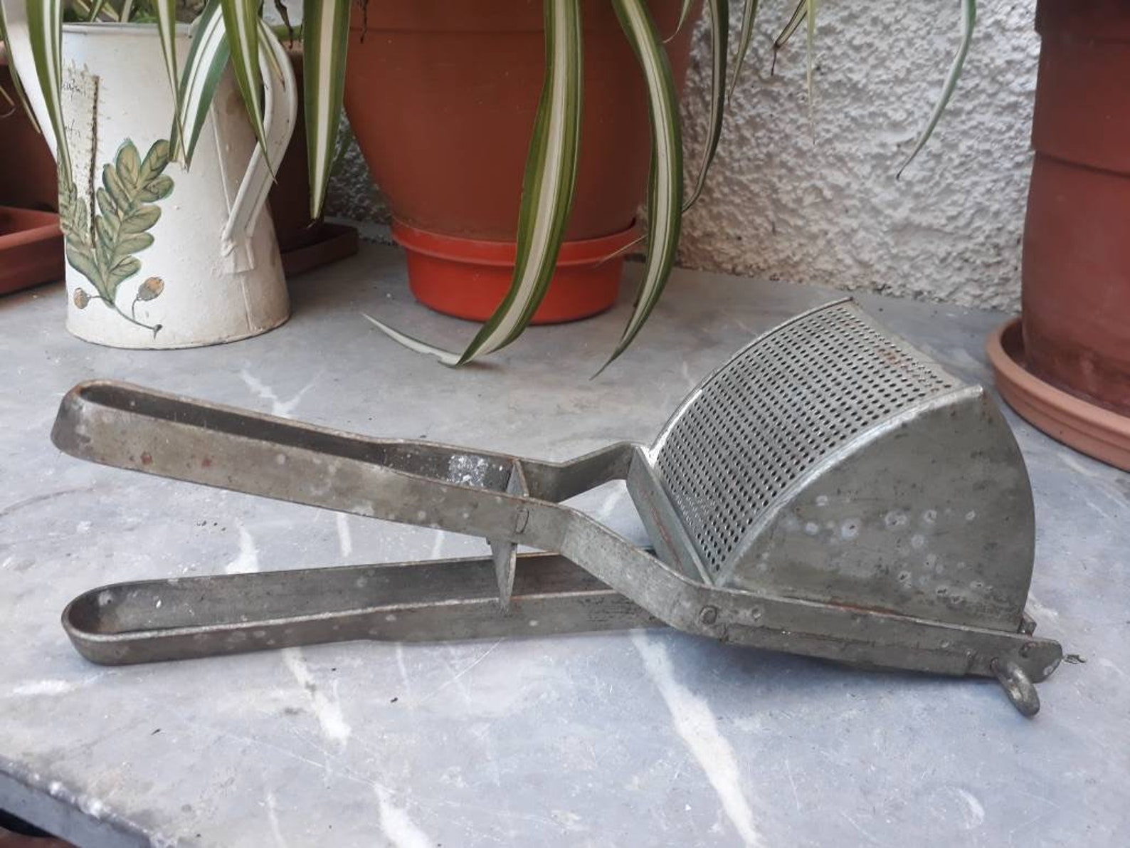 Old and large hand press for fruit or vegetables. Utencillo | Etsy