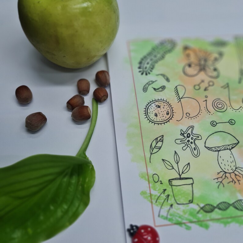 Drawing Tutorials for Beginners,how to Draw Biology Objects Easily ...