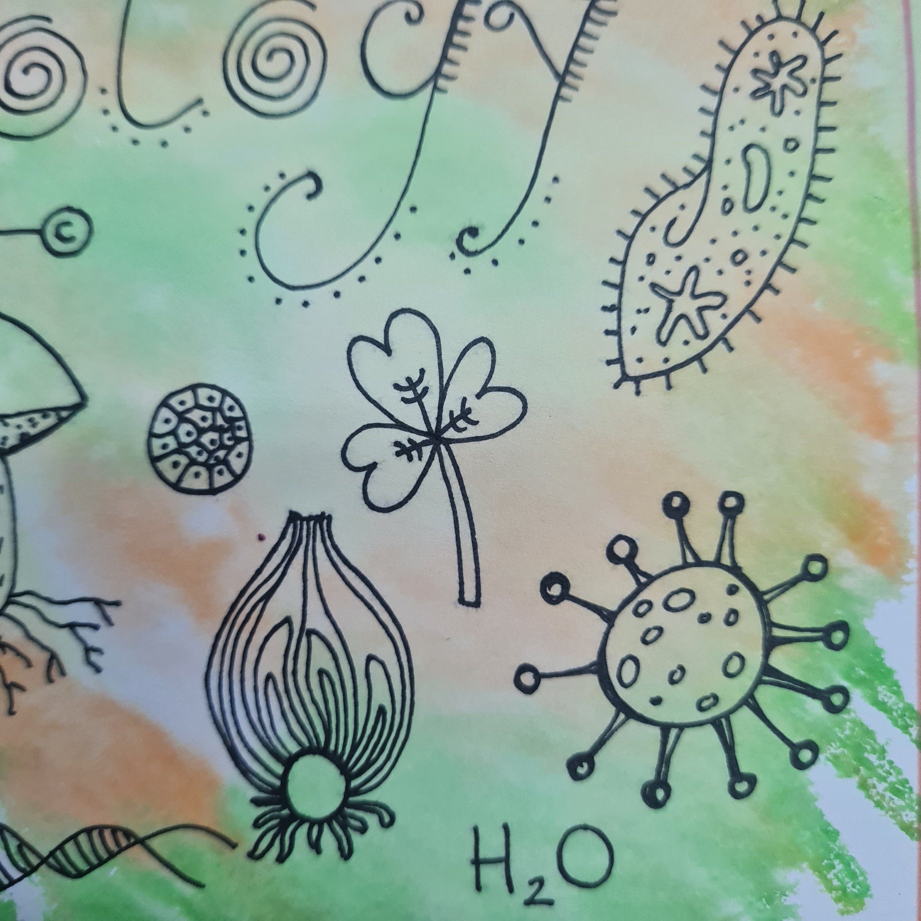 Drawing Tutorials for Beginners,how to Draw Biology Objects Easily ...