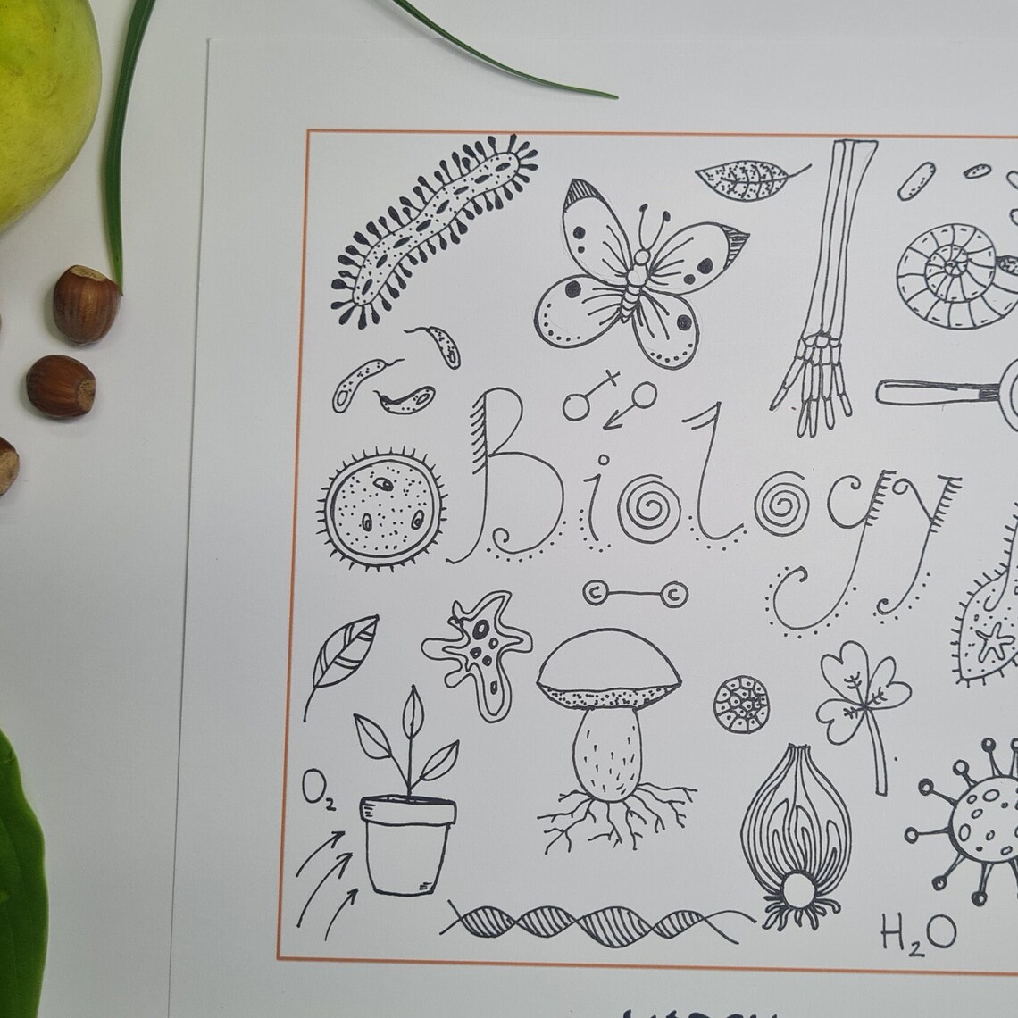 Drawing Tutorials for Beginners,how to Draw Biology Objects Easily ...