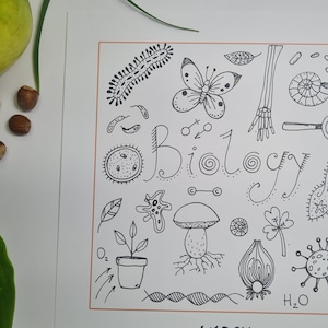 Drawing Tutorials for Beginners,how to Draw Biology Objects Easily ...