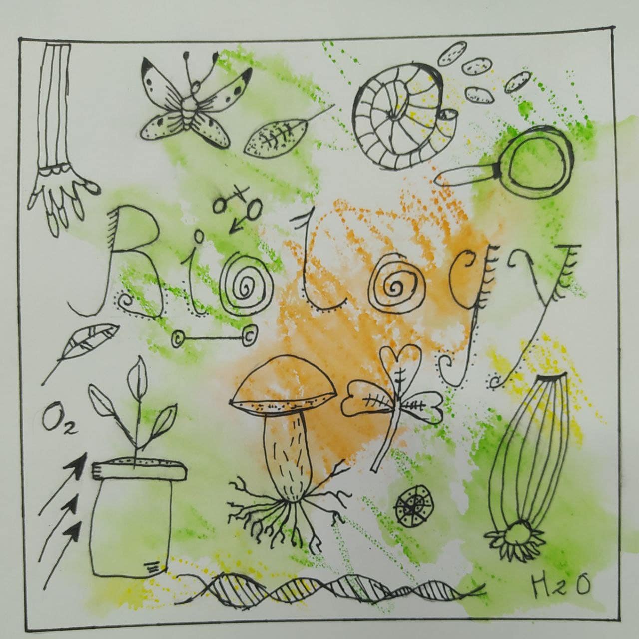 Drawing Tutorials for Beginners,how to Draw Biology Objects Easily ...