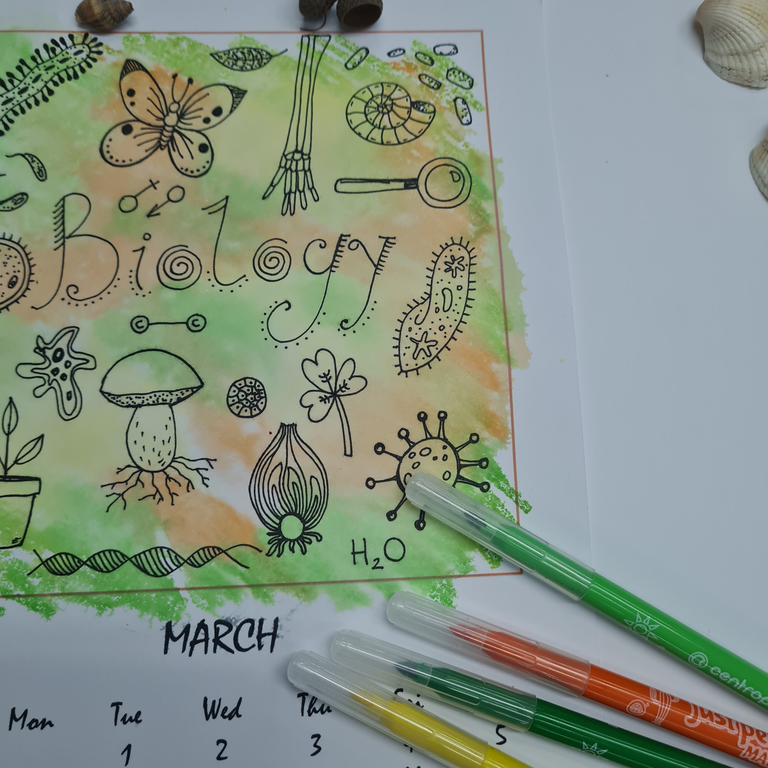 Drawing Tutorials for Beginners,how to Draw Biology Objects Easily ...