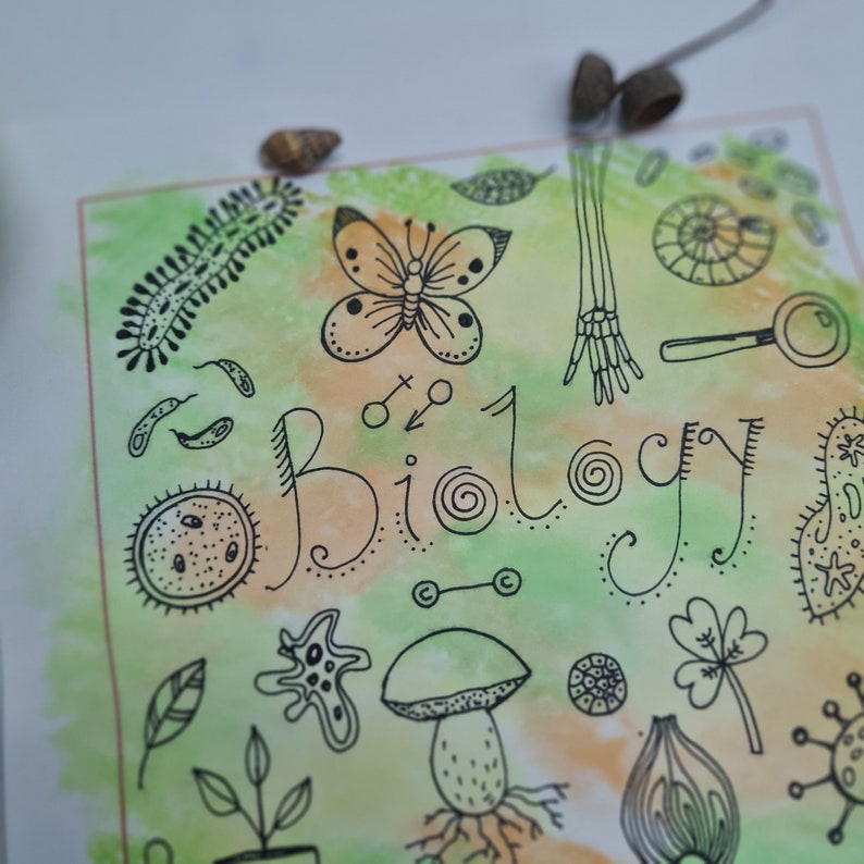 Drawing Tutorials for Beginners,how to Draw Biology Objects Easily ...