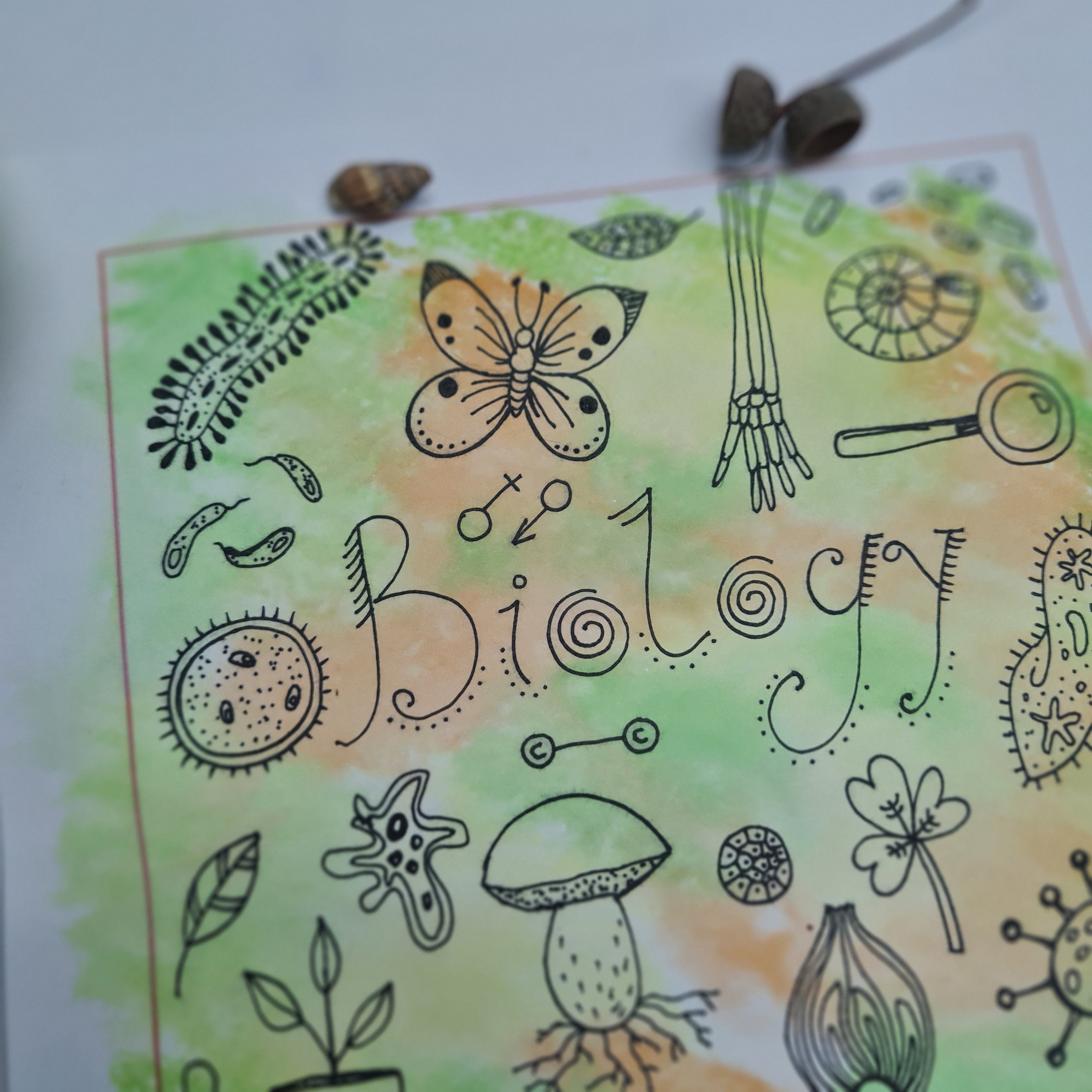 Drawing Tutorials for Beginners,how to Draw Biology Objects Easily ...